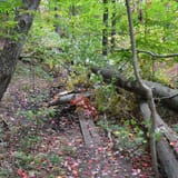 Jordan Valley Pathway, Michigan - 673 Reviews, Map | AllTrails