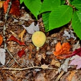 Jordan Valley Pathway, Michigan - 673 Reviews, Map | AllTrails