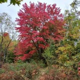 Jordan Valley Pathway, Michigan - 673 Reviews, Map | AllTrails