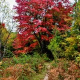 Jordan Valley Pathway, Michigan - 673 Reviews, Map | AllTrails