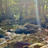 Champney Falls Trail, New Hampshire - 1,513 Reviews, Map | AllTrails