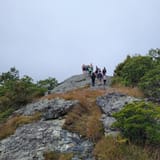 Buffalo Mountain Trail, Virginia - 675 Reviews, Map | AllTrails