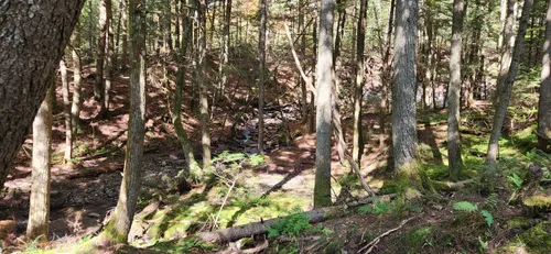 Best Hikes and Trails in Hardwick Trails | AllTrails