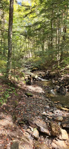 Best Hikes and Trails in Hardwick Trails | AllTrails