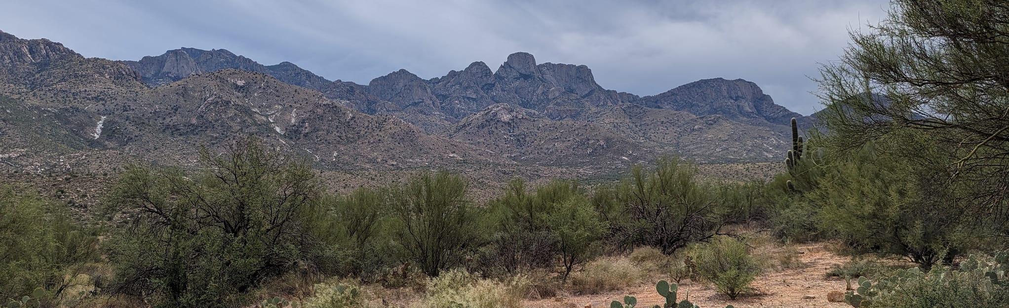 Catalina Nature Trail, Arizona - 484 Reviews, Map | AllTrails
