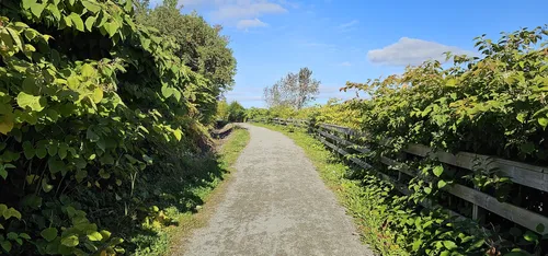 10 Best Trails and Hikes in Corner Brook | AllTrails