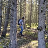 Eagle Lake and James Lake Falls, Alberta, Canada - 225 Reviews, Map ...