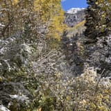 Ballard Mountain Trail, Colorado - 349 Reviews, Map | AllTrails
