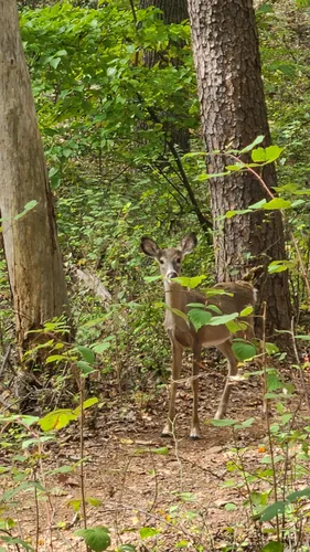 Best Hikes and Trails in Claude Moore Park | AllTrails