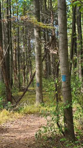 Best Hikes and Trails in Claude Moore Park | AllTrails