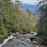 Beaver Brook Trail to Mount Moosilauke, New Hampshire - 1,301 Reviews ...