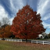 Ebright Azimuth - Delaware Highpoint, Pennsylvania - 93 Reviews, Map ...