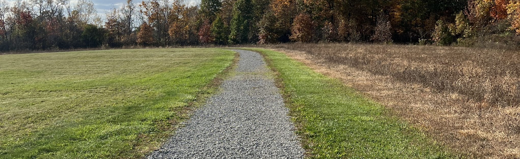 Buckner Trail, Indiana - 31 Reviews, Map | AllTrails