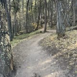 Apex and Enchanted Forest Loop, Colorado - 1,915 Reviews, Map | AllTrails