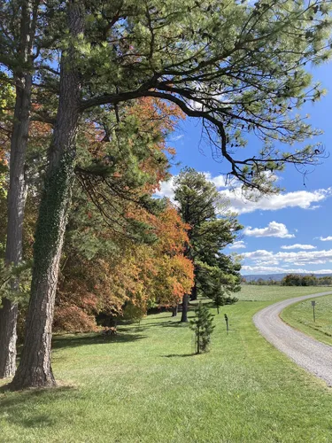 Best Hikes and Trails in White Post | AllTrails