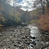 South Toe River Loop Trail, North Carolina - 431 Reviews, Map | AllTrails