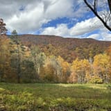 South Toe River Loop Trail, North Carolina - 431 Reviews, Map | AllTrails