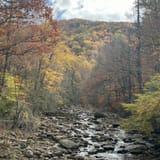 South Toe River Loop Trail, North Carolina - 431 Reviews, Map | AllTrails