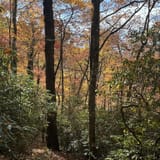South Toe River Loop Trail, North Carolina - 431 Reviews, Map | AllTrails
