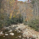 South Toe River Loop Trail, North Carolina - 431 Reviews, Map | AllTrails