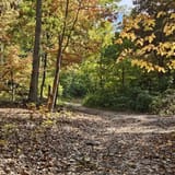 Neabsco Creek Boardwalk, Virginia - 956 Reviews, Map | AllTrails