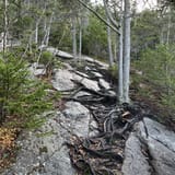 Percy Peaks Loop, New Hampshire - 191 Reviews, Map | AllTrails
