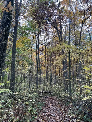 Best Hikes and Trails in Spring Lake Woods and Bog - Acres Land Trust ...