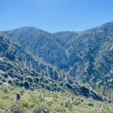 Ice House Canyon Trail, California - 1,628 Reviews, Map | AllTrails