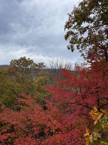 Best Hikes and Trails in Shrine Mont | AllTrails