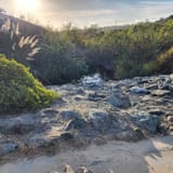 Rice Canyon Trail, California - 965 Reviews, Map | AllTrails