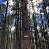 Mars Hill Trail, Arizona - 1,222 Reviews, Map | AllTrails