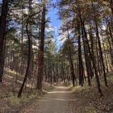 Mars Hill Trail, Arizona - 1,222 Reviews, Map | AllTrails