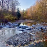 Sprague Brook Park Trail, New York - 1,273 Reviews, Map | AllTrails