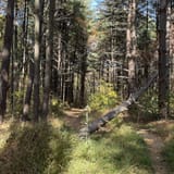 Indian Point Trail, Illinois - 1,497 Reviews, Map | AllTrails