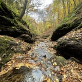 Parlee Brook Amphitheatre Trail, New Brunswick, Canada - 203 Reviews ...