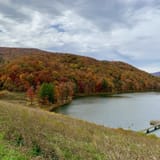 Elkhorn Lake, Virginia - 24 Reviews, Map | AllTrails