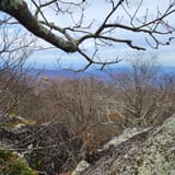 The Pinnacle and Flat Top Mountain, Virginia - 472 Reviews, Map | AllTrails