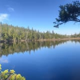 Jordan Cliffs Loop, Maine - 376 Reviews, Map | AllTrails