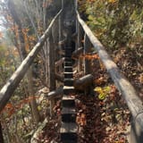 Jordan Cliffs Loop, Maine - 376 Reviews, Map | AllTrails