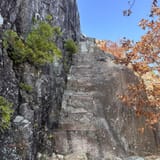 Jordan Cliffs Loop, Maine - 374 Reviews, Map | AllTrails