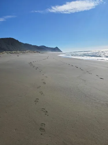 10 Best Trails and Hikes in Gold Beach | AllTrails
