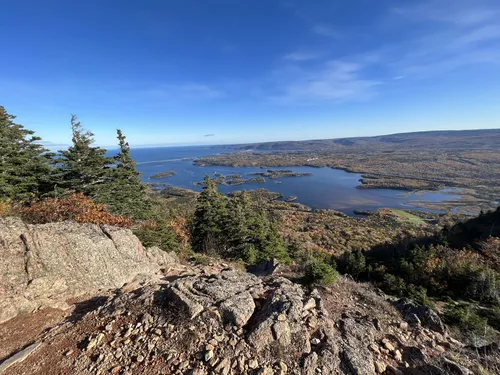 Best Hikes and Trails in Cape North | AllTrails