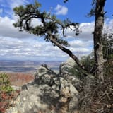 High Rocks Trail, Virginia - 524 Reviews, Map | AllTrails