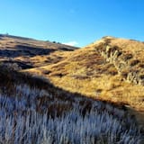 Coyote Ridge Trail, Colorado - 1,563 Reviews, Map | AllTrails