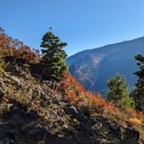 Thayne Canyon and Desolation Trail Loop, Utah - 527 Reviews, Map ...