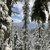 Umbrella and Sahale Falls Loop, Oregon - 1,780 Reviews, Map | AllTrails