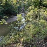 Rowlett Creek Trail, Texas - 295 Reviews, Map | AllTrails