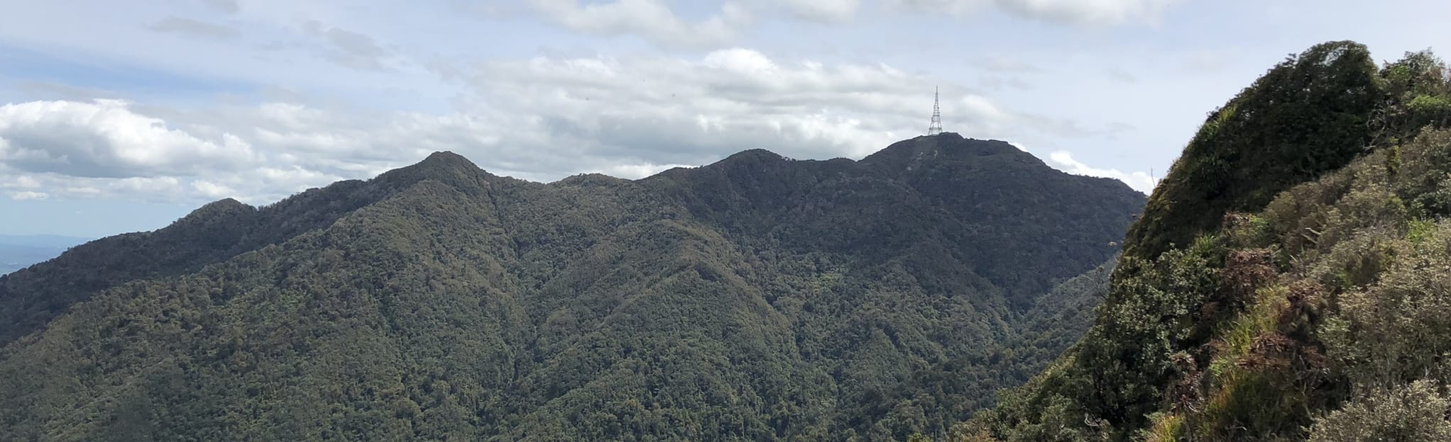 Pylon Peak Loop Track, Waikato, New Zealand - 53 Reviews, Map | AllTrails
