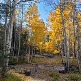 Lockett Meadow Inner Basin Loop, Arizona - 733 Reviews, Map | AllTrails