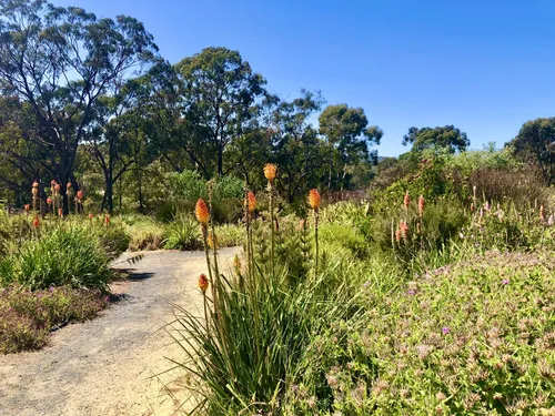 Best Hikes and Trails in Wittunga Botanic Gardens | AllTrails